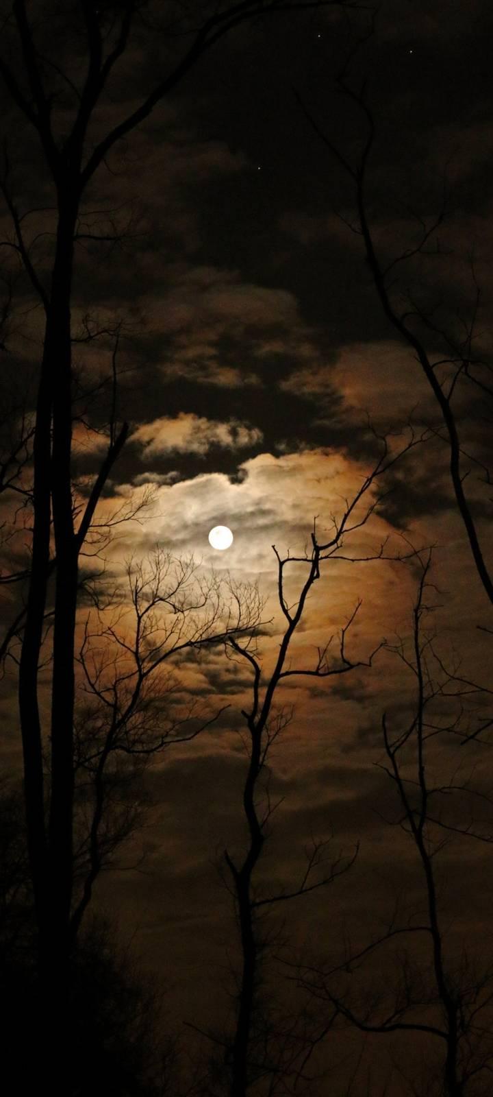 Night Moon Wallpapers - Top Free Night Moon Backgrounds - WallpaperAccess