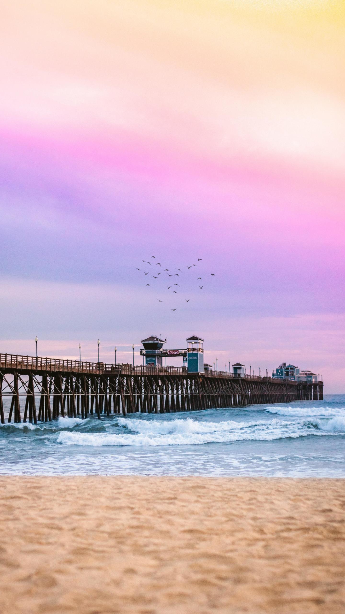 Pink Sand Beach Wallpapers - Top Free Pink Sand Beach Backgrounds ...