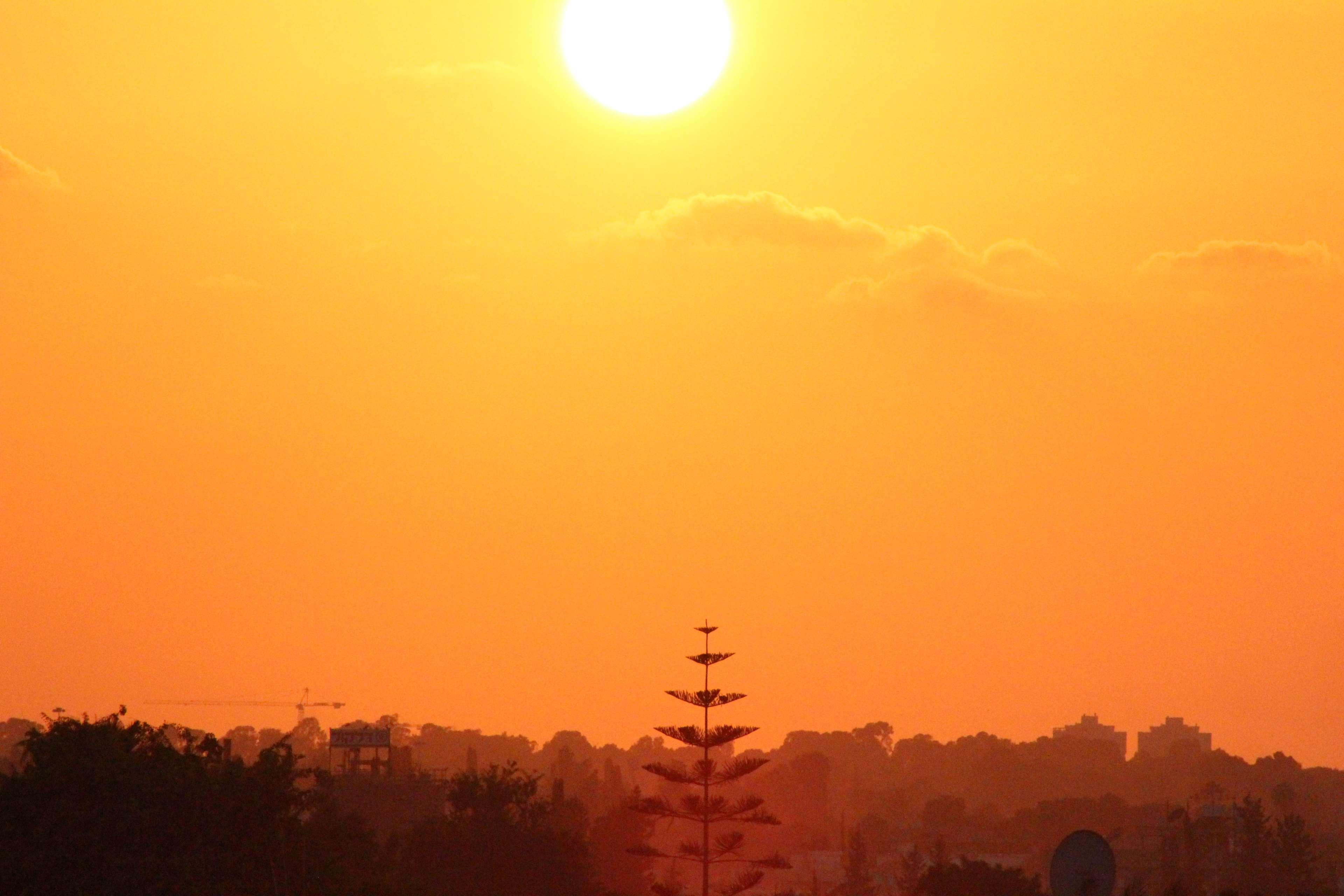 Sun Yellow Wallpapers - Top Free Sun Yellow Backgrounds - WallpaperAccess