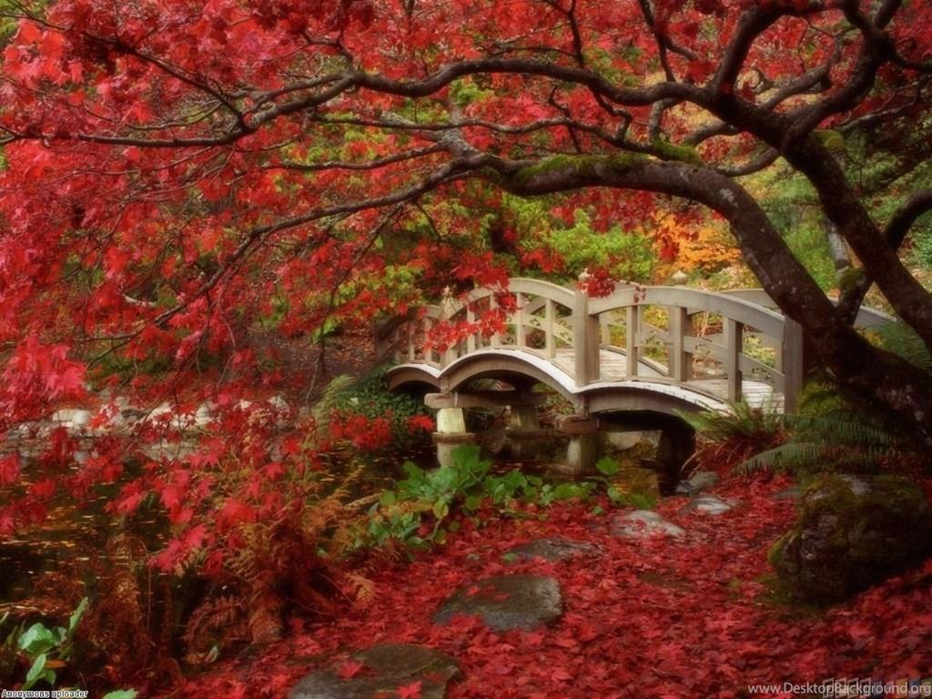 Covered Bridge Autumn Wallpapers - Top Free Covered Bridge Autumn ...