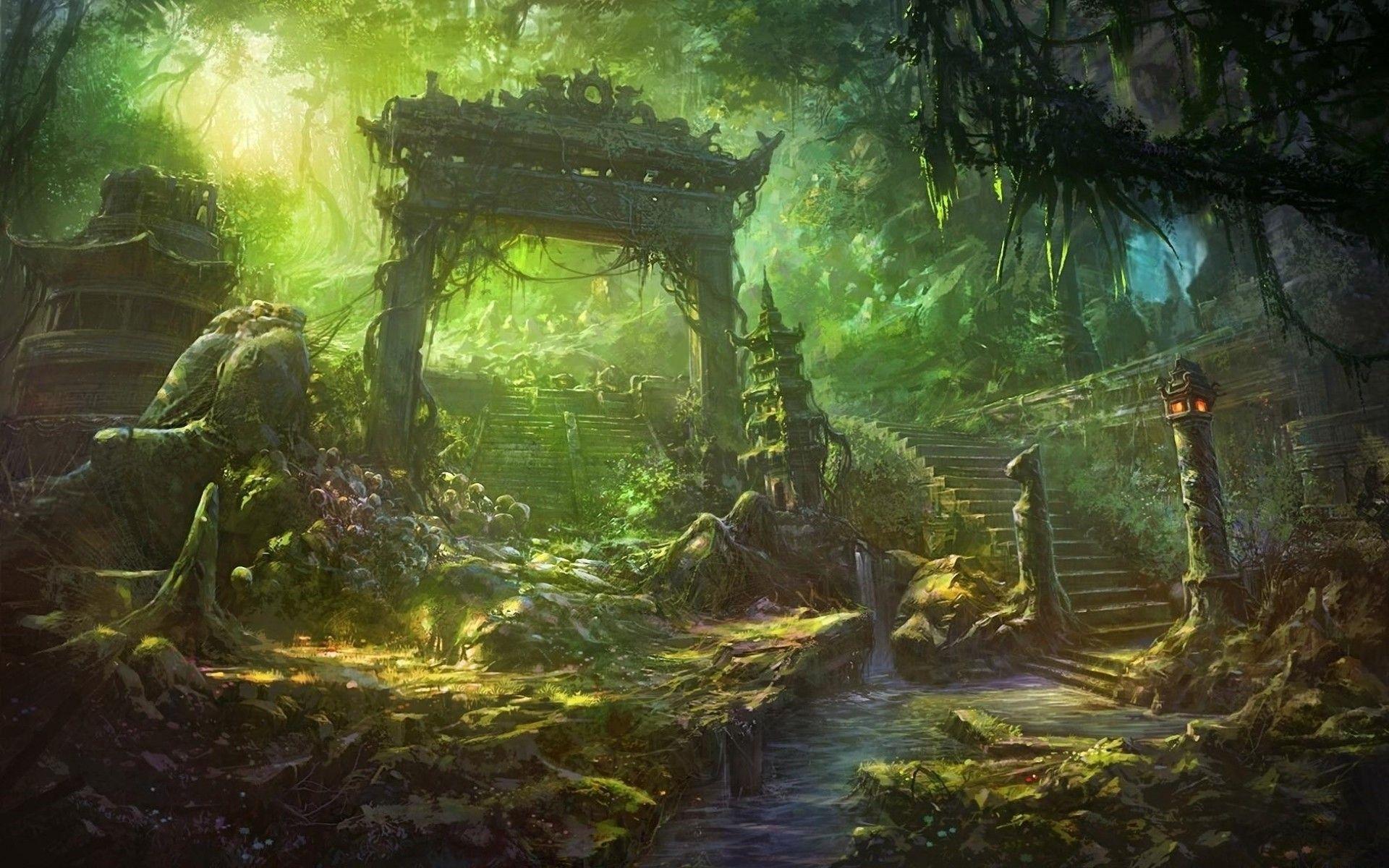 4K Jungle Wallpapers - Top Free 4K Jungle Backgrounds - WallpaperAccess