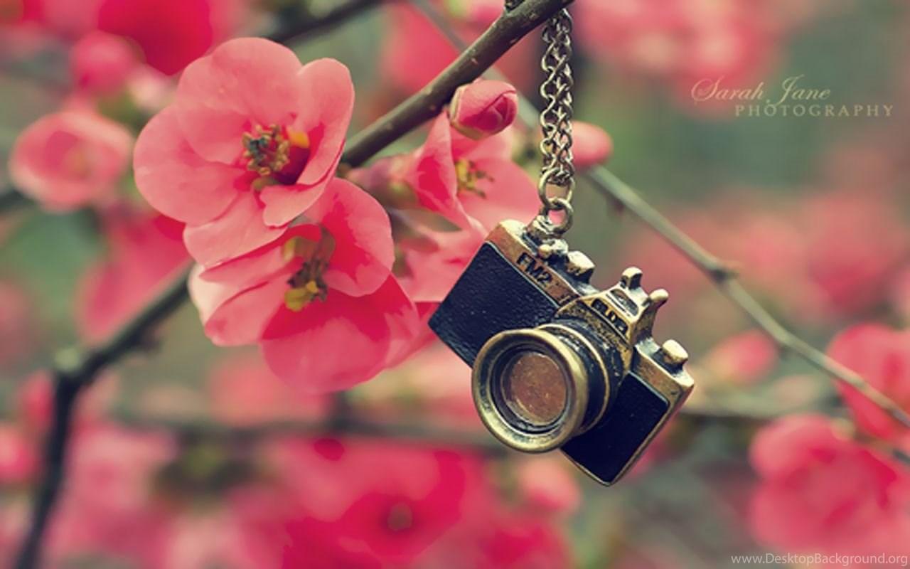 Camera Computer Wallpapers - Top Free Camera Computer Backgrounds ...