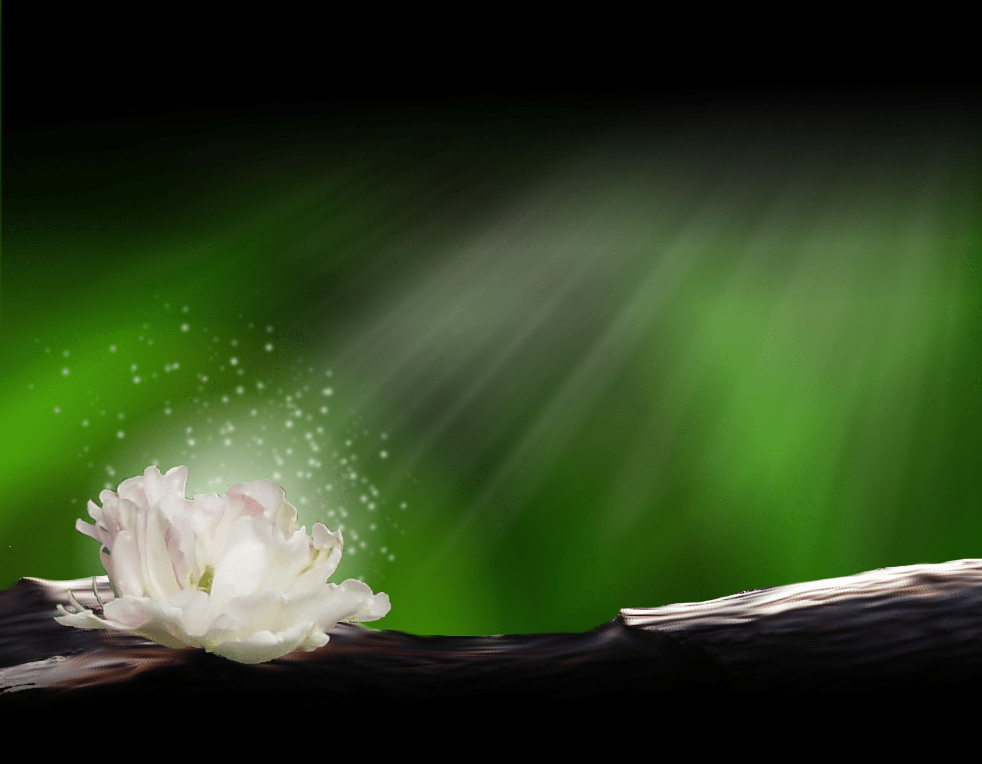 Flower Game Wallpapers - Top Free Flower Game Backgrounds - WallpaperAccess