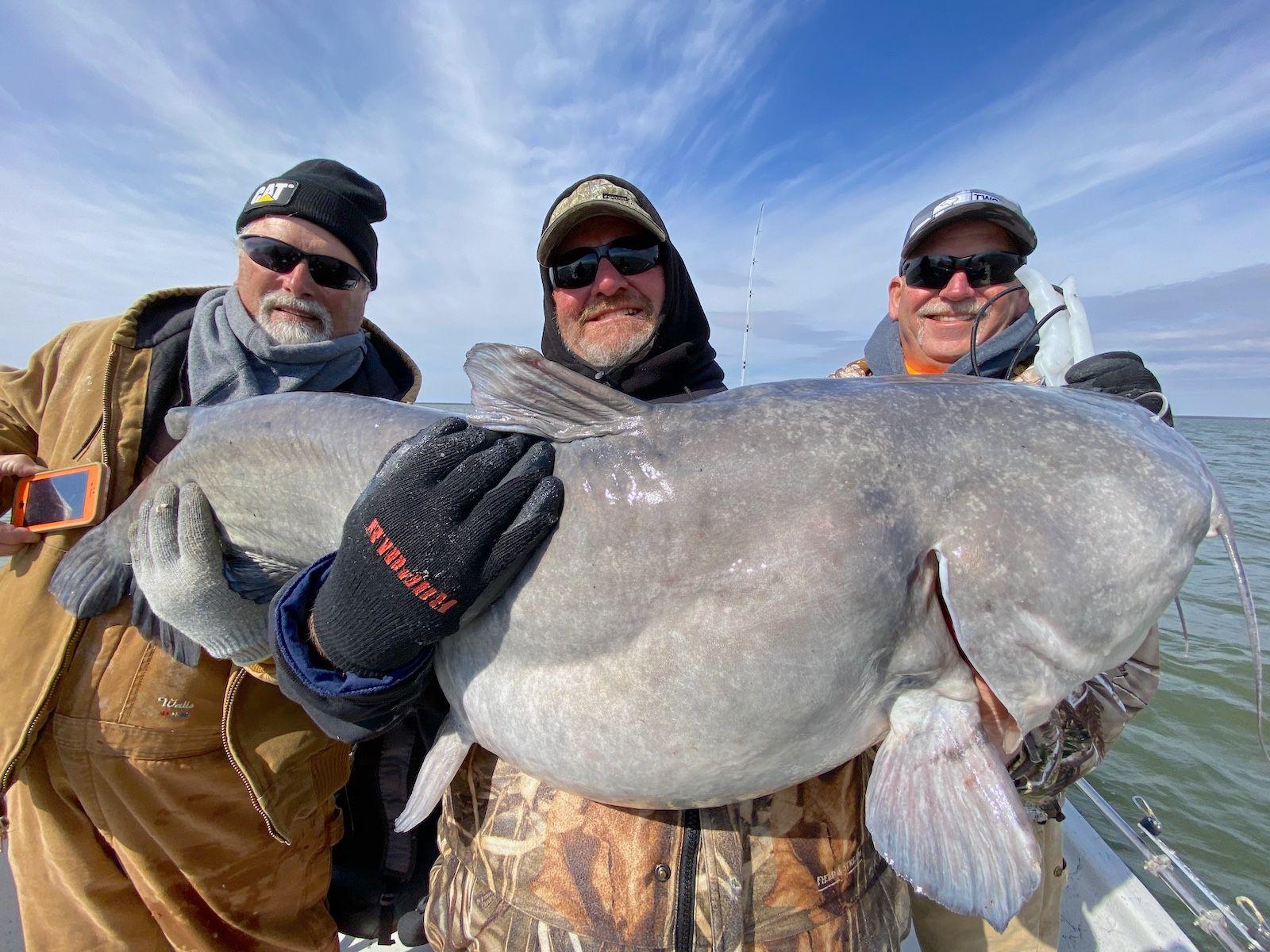 Reel Big Fish Wallpapers - Top Free Reel Big Fish Backgrounds ...