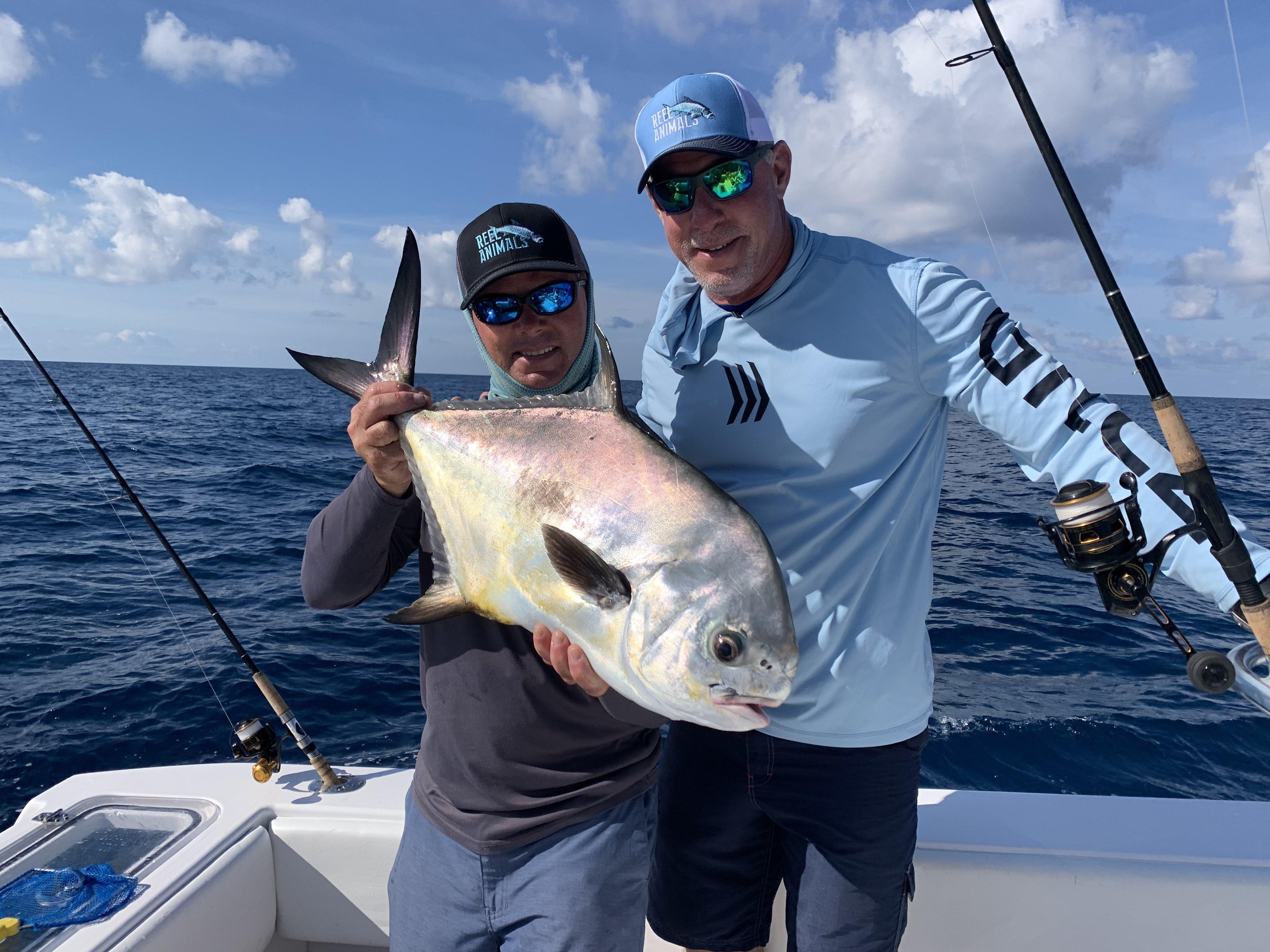 Reel Big Fish Wallpapers - Top Free Reel Big Fish Backgrounds ...