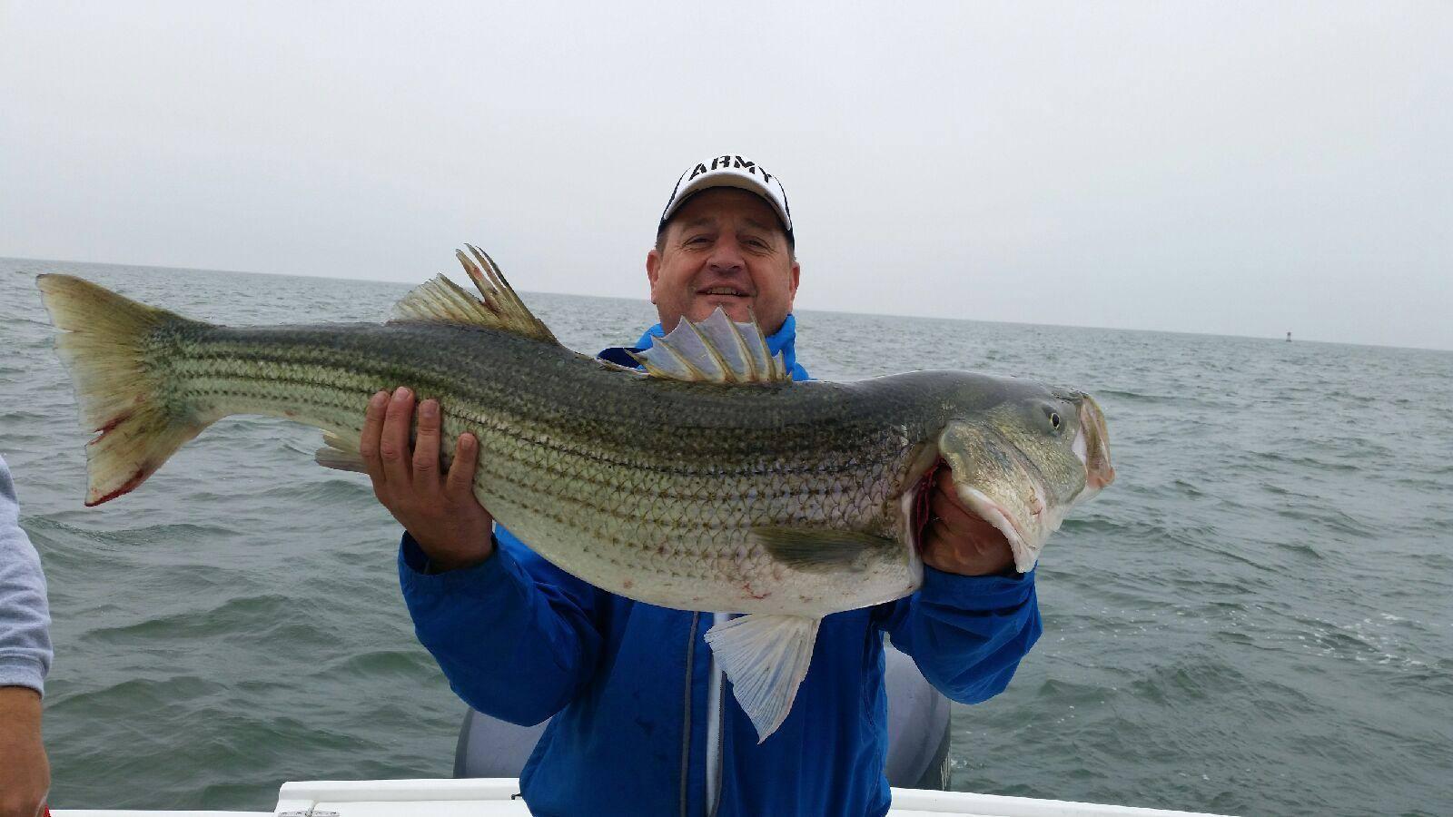 Reel Big Fish Wallpapers - Top Free Reel Big Fish Backgrounds ...