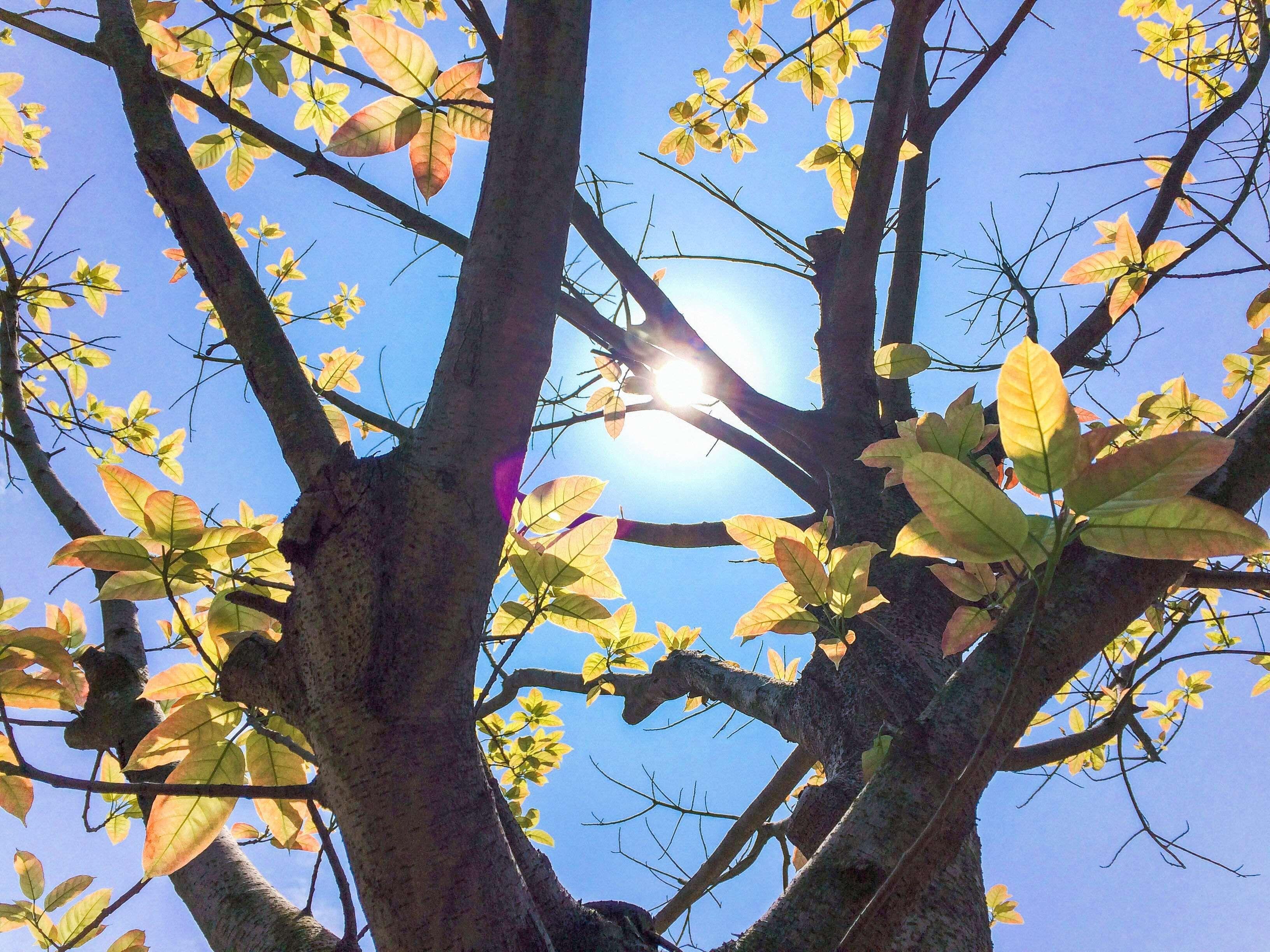 Midday Sky Wallpapers - Top Free Midday Sky Backgrounds - WallpaperAccess