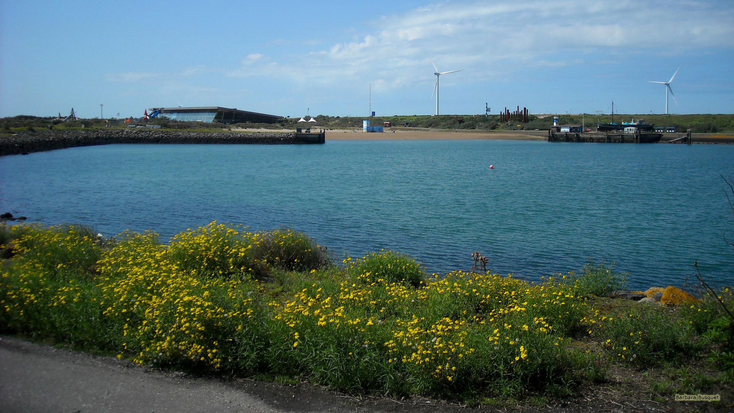 Farm Lake Wallpapers - Top Free Farm Lake Backgrounds - WallpaperAccess