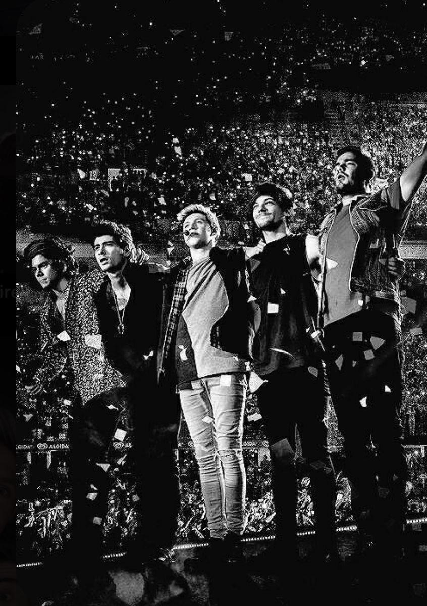 One Direction Concert Wallpapers - Top Free One Direction Concert ...