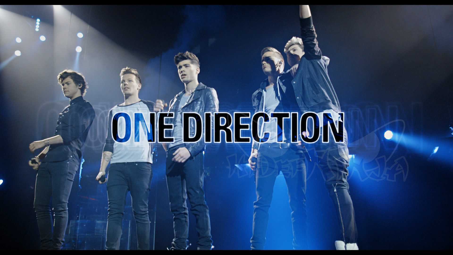 One Direction Concert Wallpapers - Top Free One Direction Concert ...