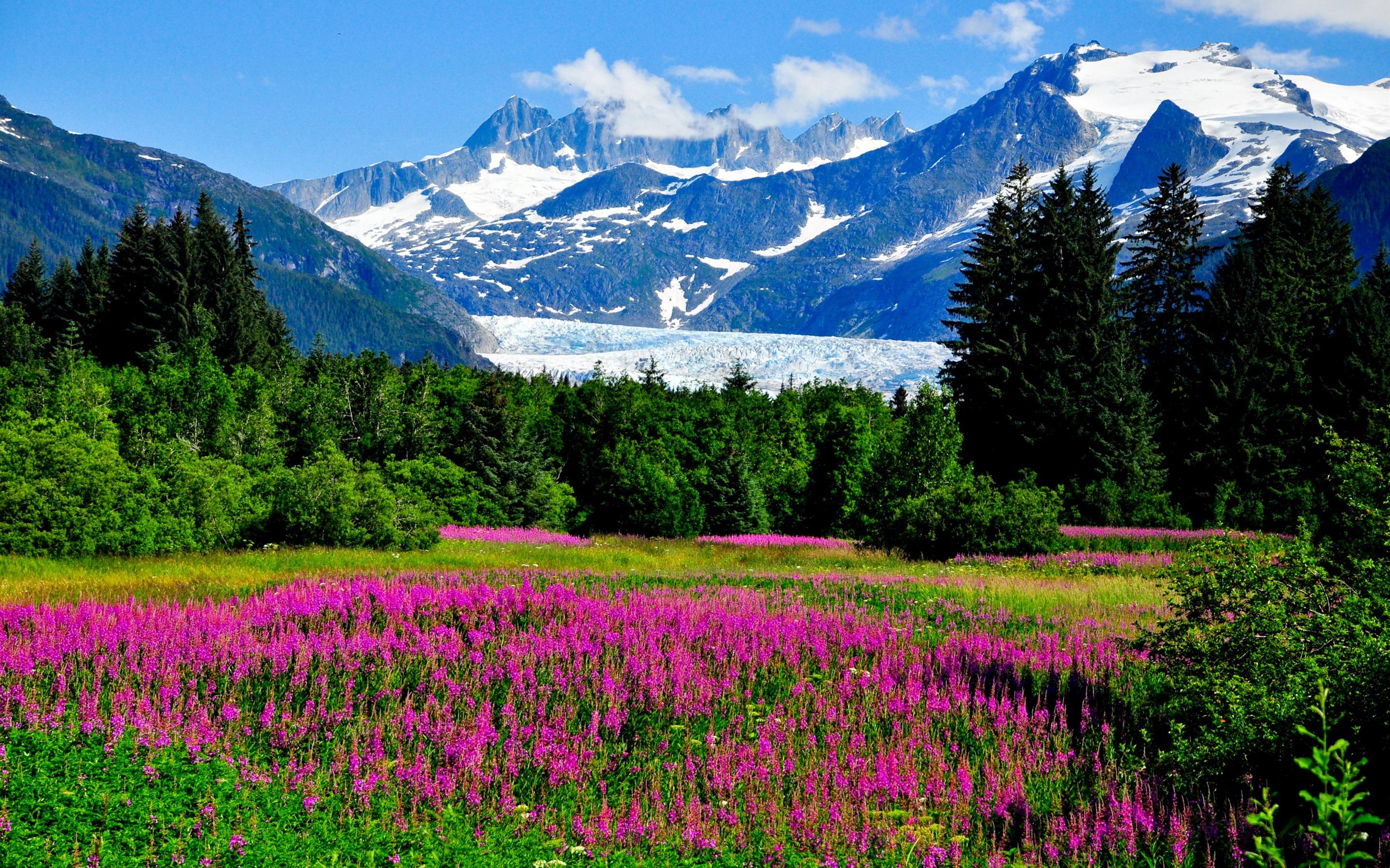 Juneau Alaska Wallpapers - Top Free Juneau Alaska Backgrounds ...