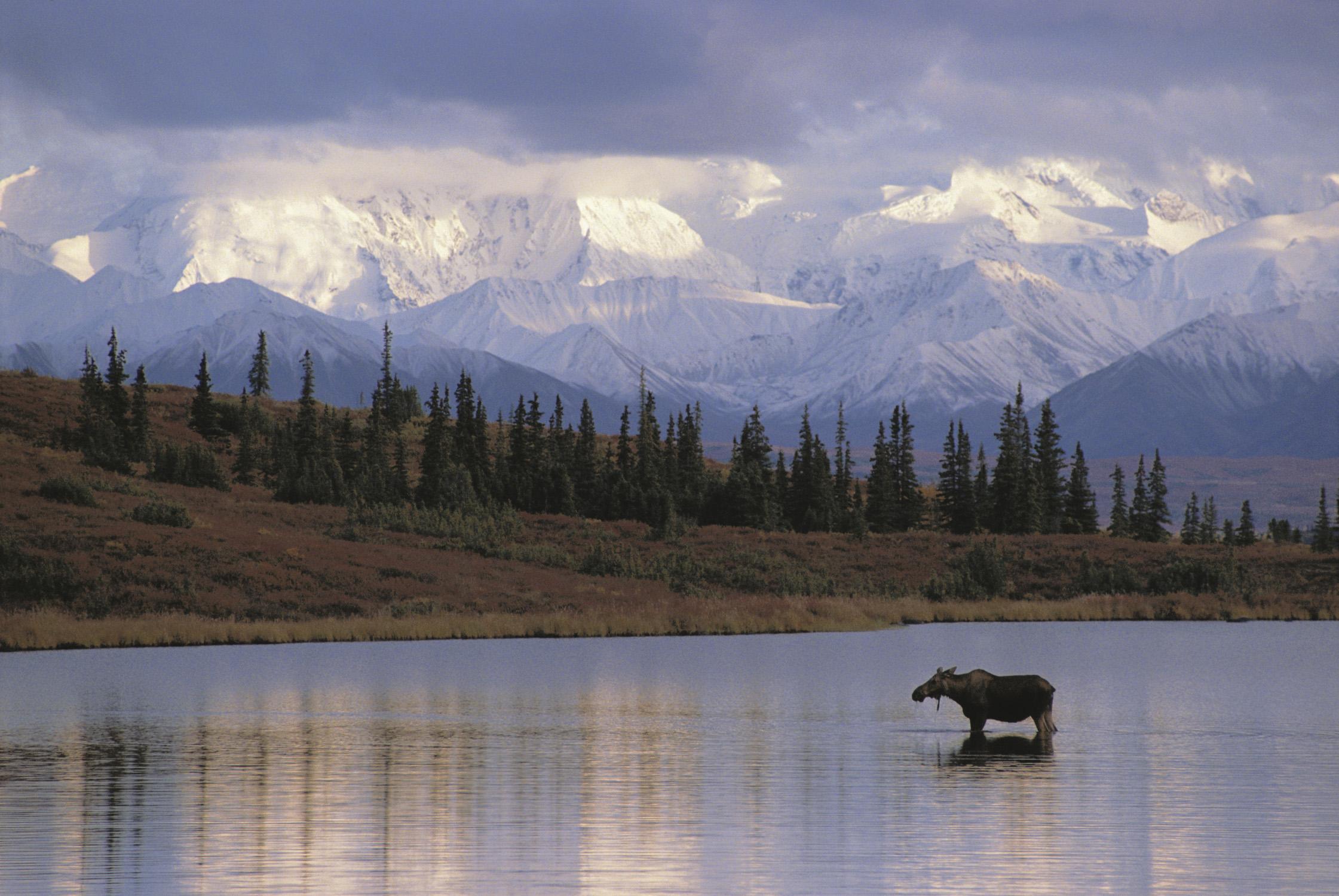 Alaska Wilderness Wallpapers - Top Free Alaska Wilderness Backgrounds ...
