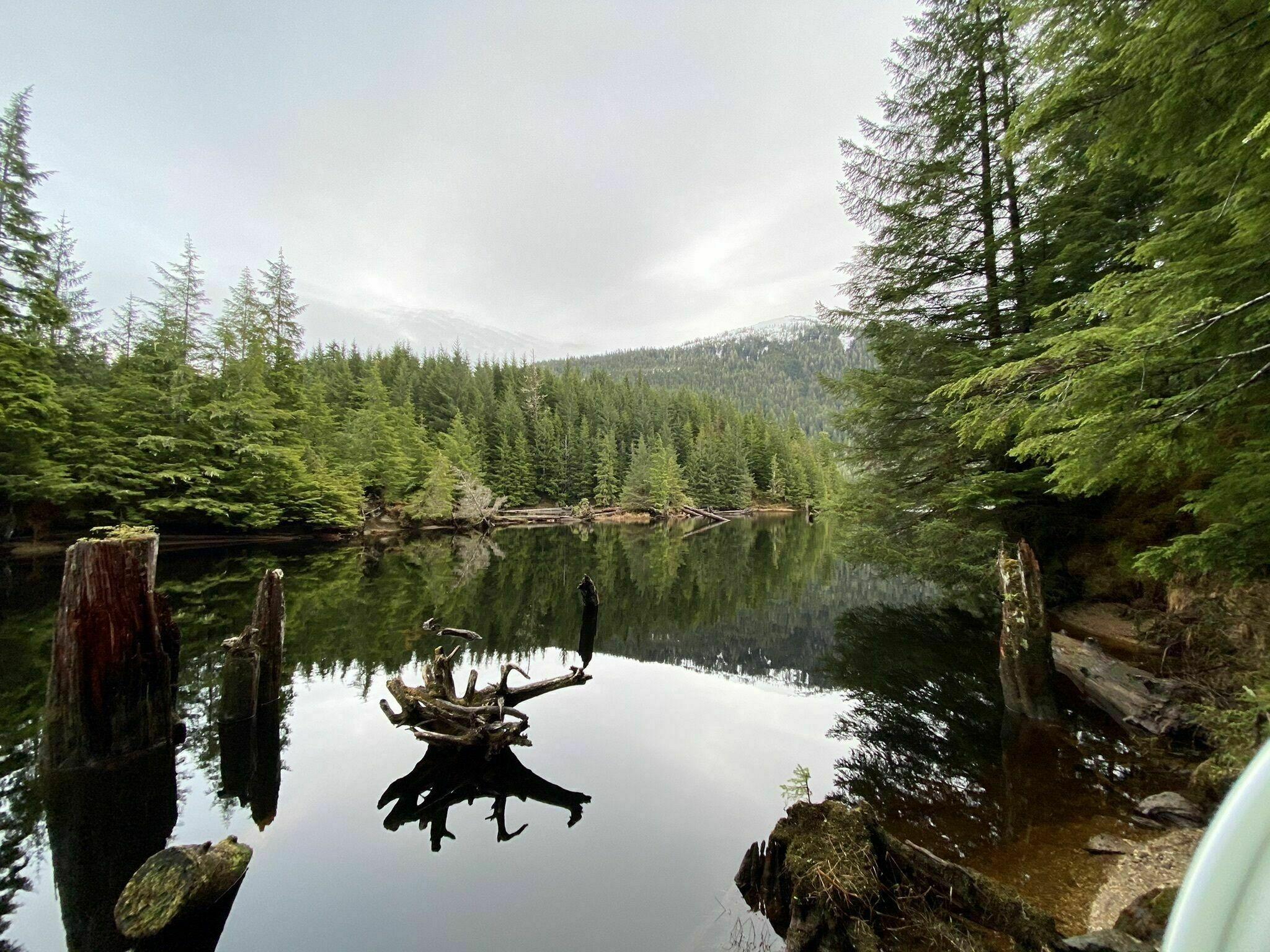 Ketchikan Alaska Wallpapers - Top Free Ketchikan Alaska Backgrounds ...