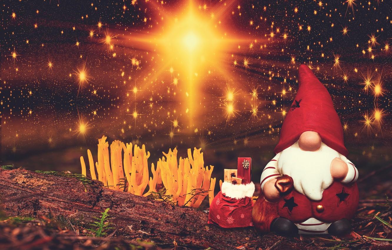 Winter Gnome Wallpapers - Top Free Winter Gnome Backgrounds ...