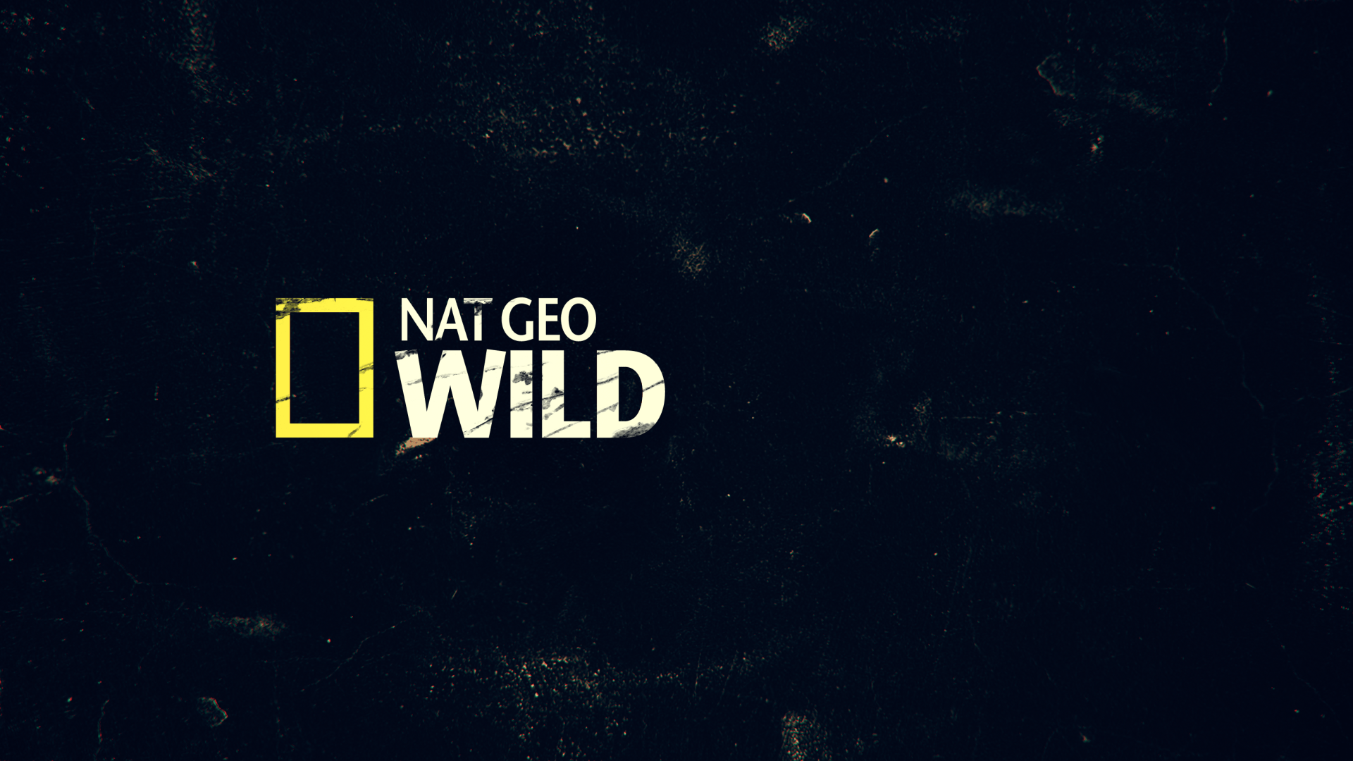 Wild Logo Wallpapers - Top Free Wild Logo Backgrounds - WallpaperAccess