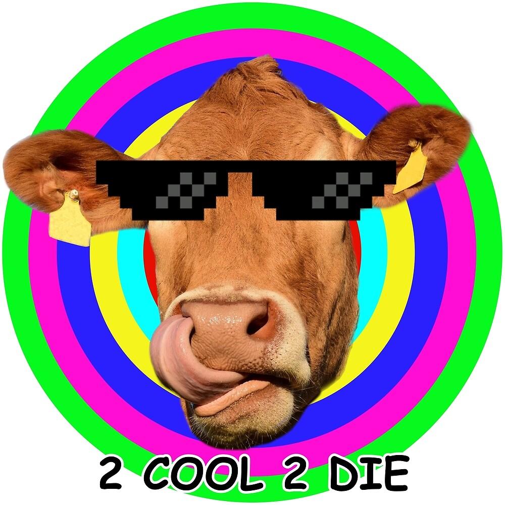 Awesome Cow Wallpapers - Top Free Awesome Cow Backgrounds - WallpaperAccess