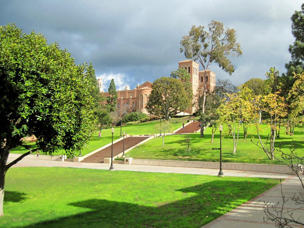 UCLA Campus Wallpapers - Top Free UCLA Campus Backgrounds - WallpaperAccess