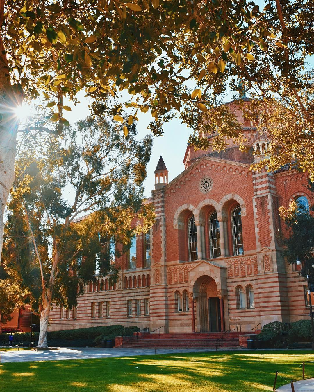 UCLA Campus Wallpapers - Top Free UCLA Campus Backgrounds - WallpaperAccess