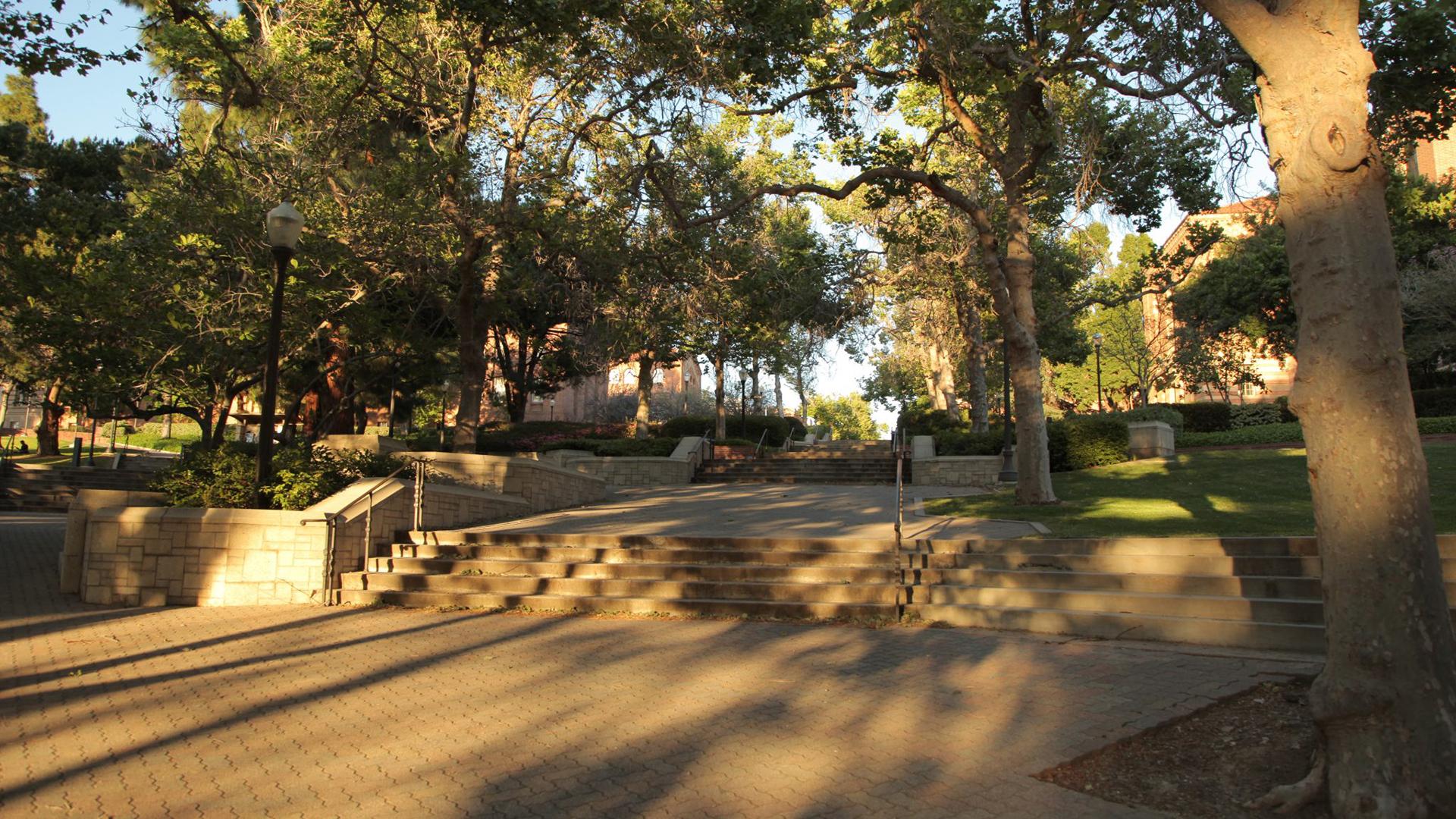 UCLA Campus Wallpapers - Top Free UCLA Campus Backgrounds - WallpaperAccess