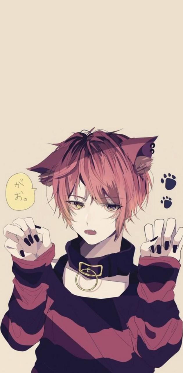 Uke Neko Boy