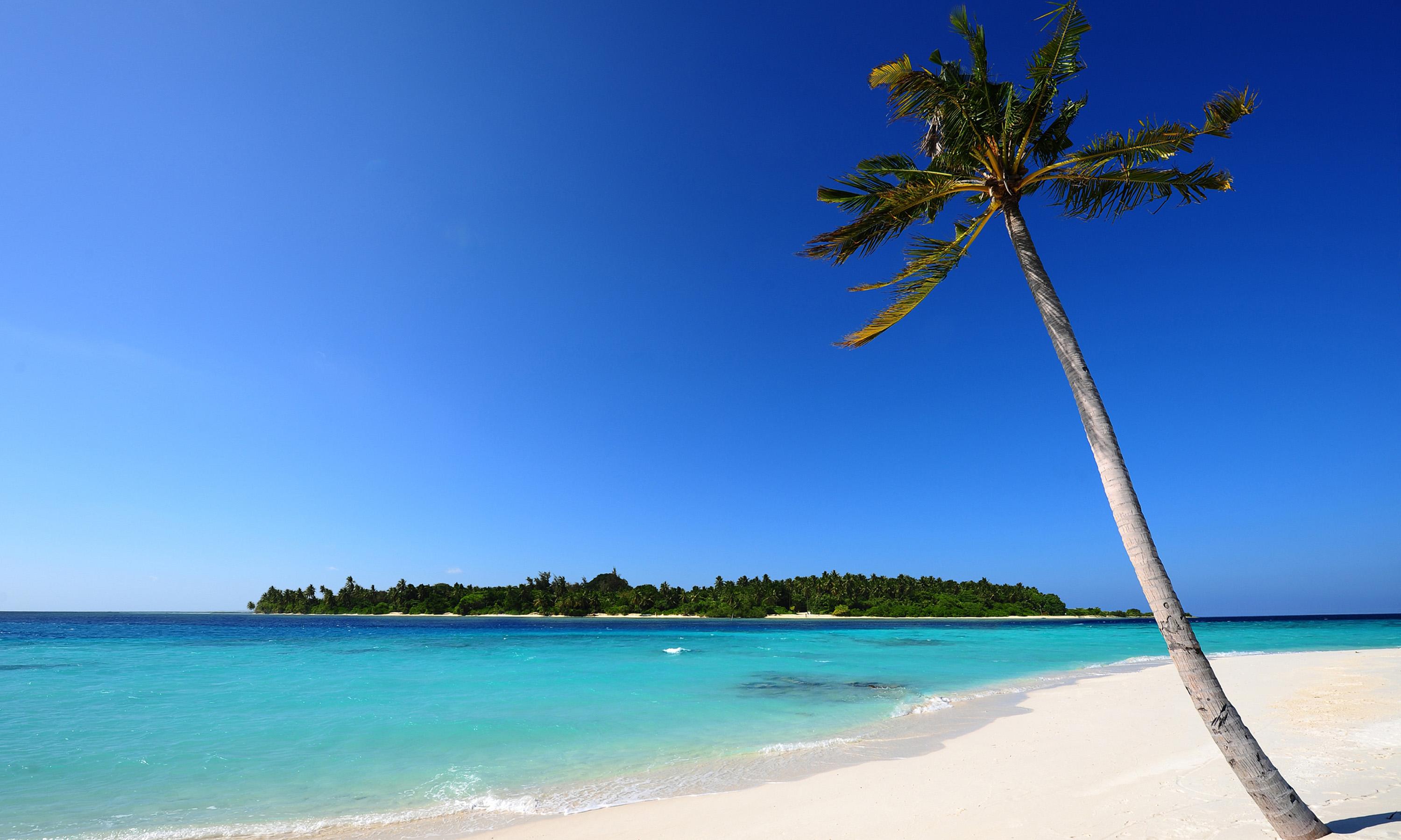 Goa Beach Wallpapers - Top Free Goa Beach Backgrounds - WallpaperAccess