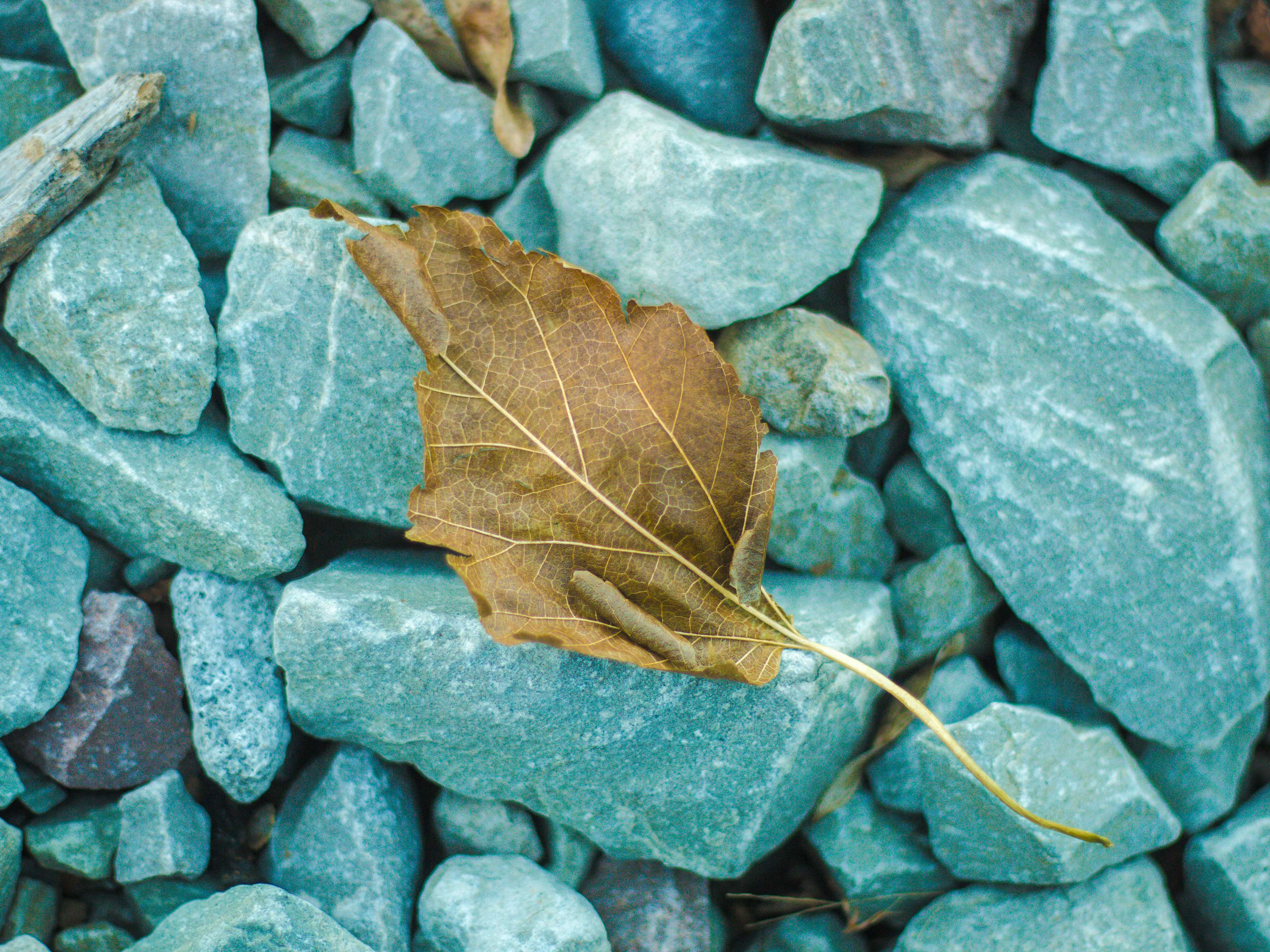 Beautiful Rock Wallpapers - Top Free Beautiful Rock Backgrounds ...