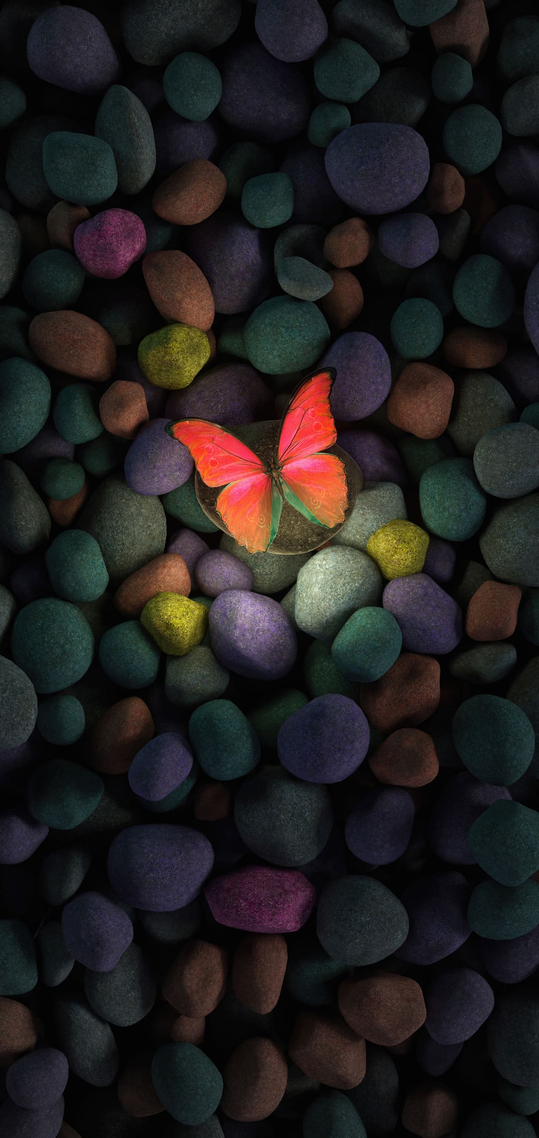 Android Butterfly Wallpapers - Top Free Android Butterfly Backgrounds ...