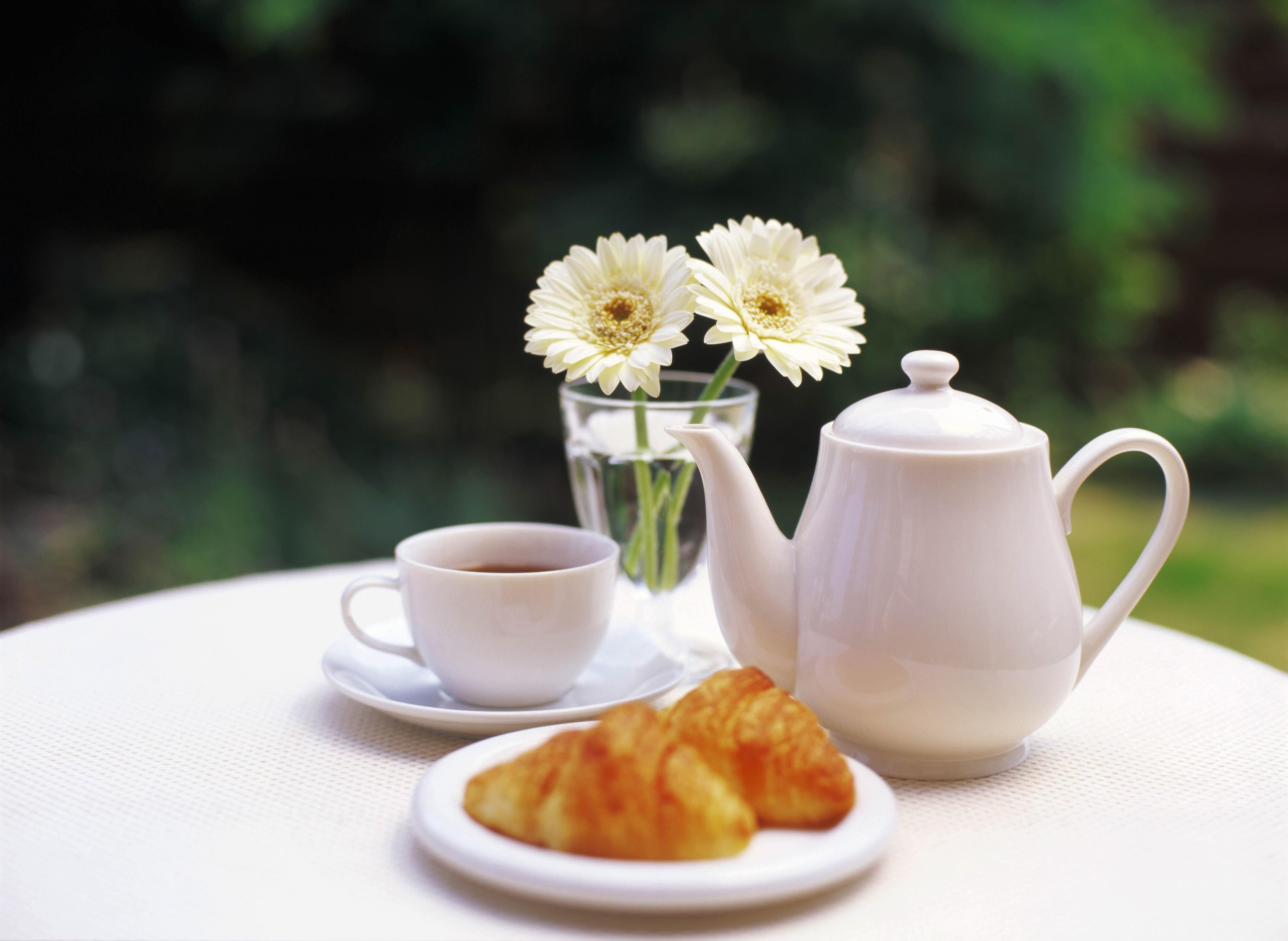 Tea Flowers Garden Wallpapers - Top Free Tea Flowers Garden Backgrounds ...
