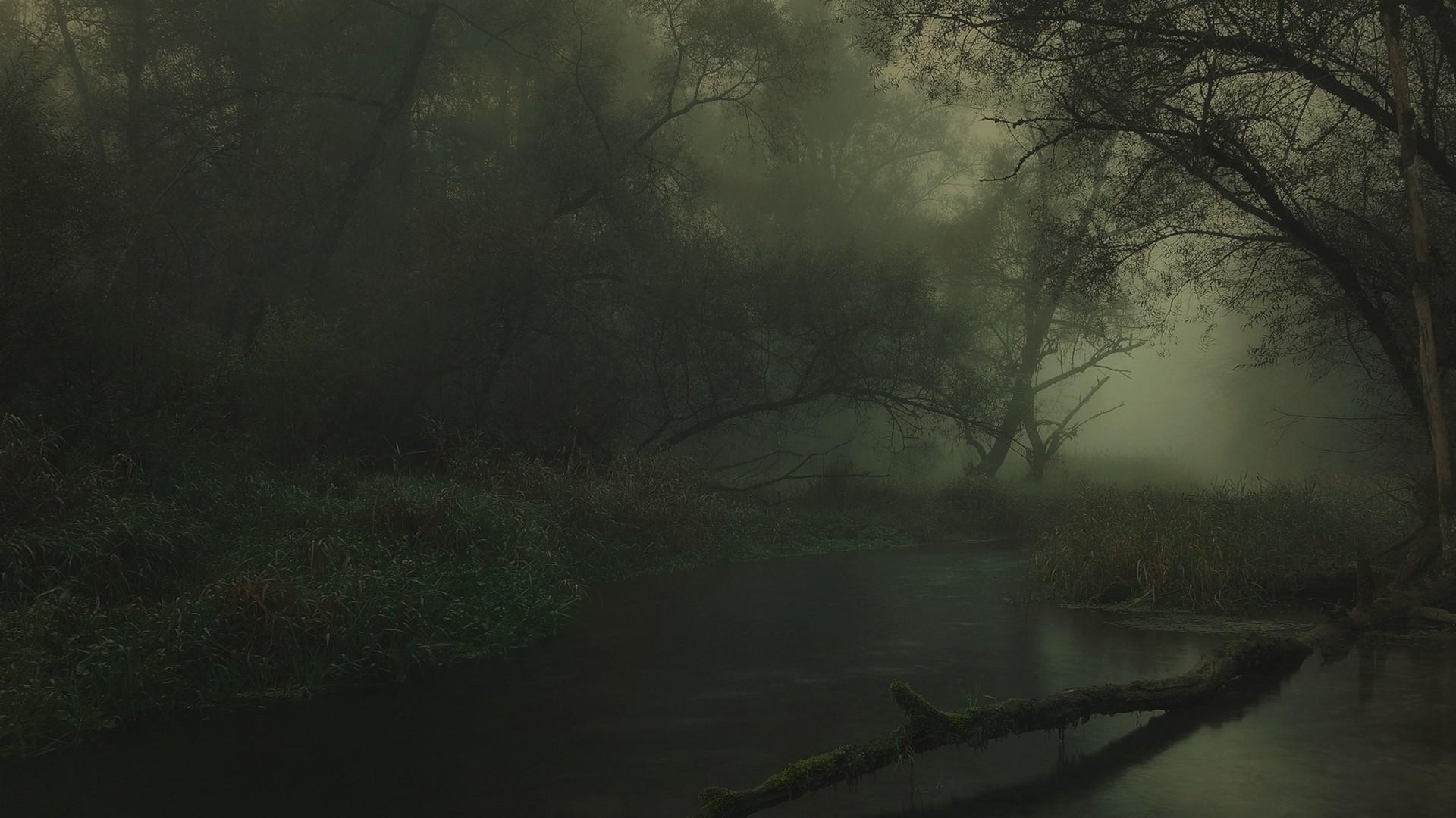 Dark River Wallpapers - Top Free Dark River Backgrounds - WallpaperAccess