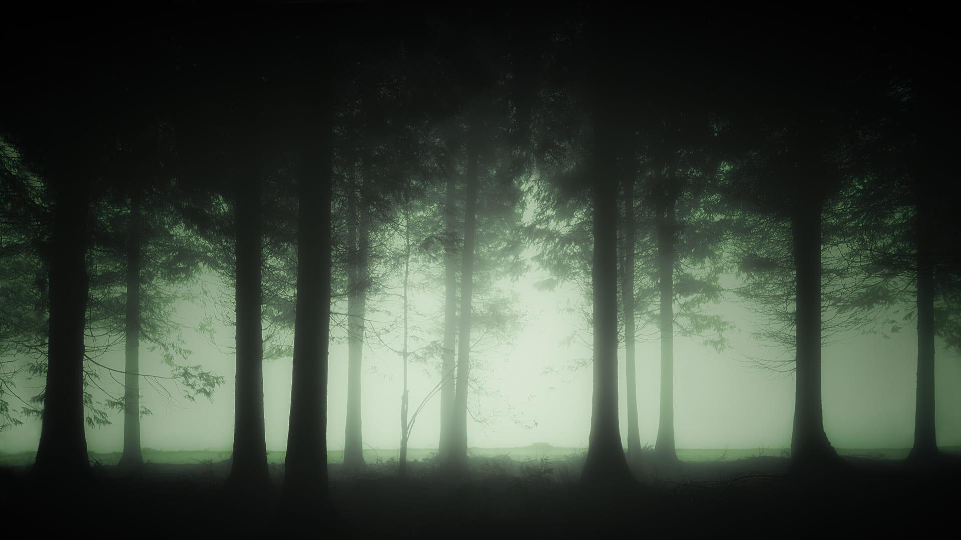 Dark Scary Forest Wallpapers - Top Free Dark Scary Forest Backgrounds ...