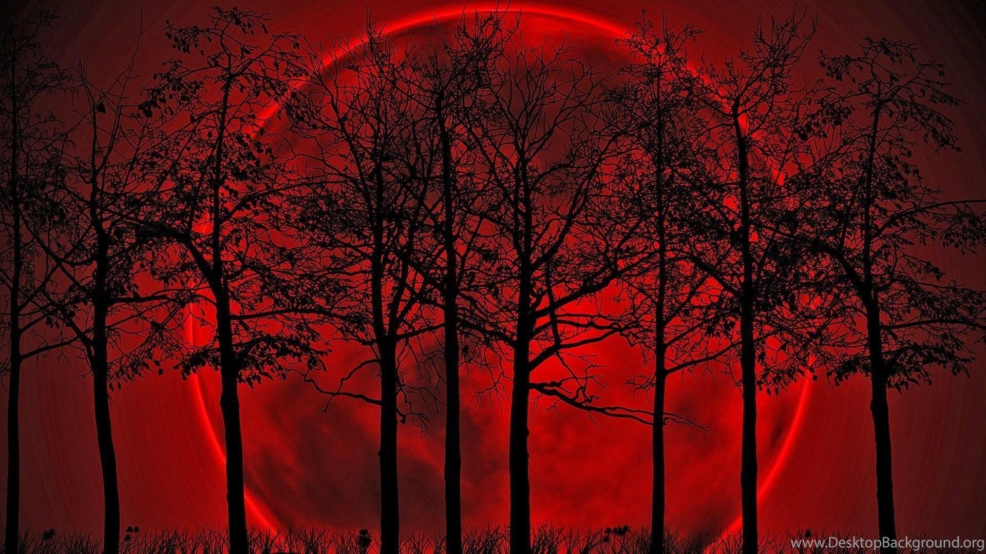 Bloody 4K Wallpapers - Top Free Bloody 4K Backgrounds - WallpaperAccess