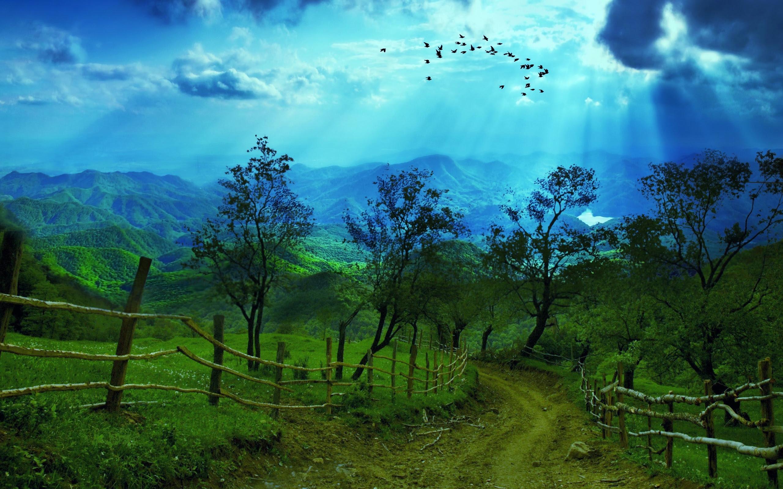 8K Ultra Nature Wallpapers - Top Free 8K Ultra Nature Backgrounds ...