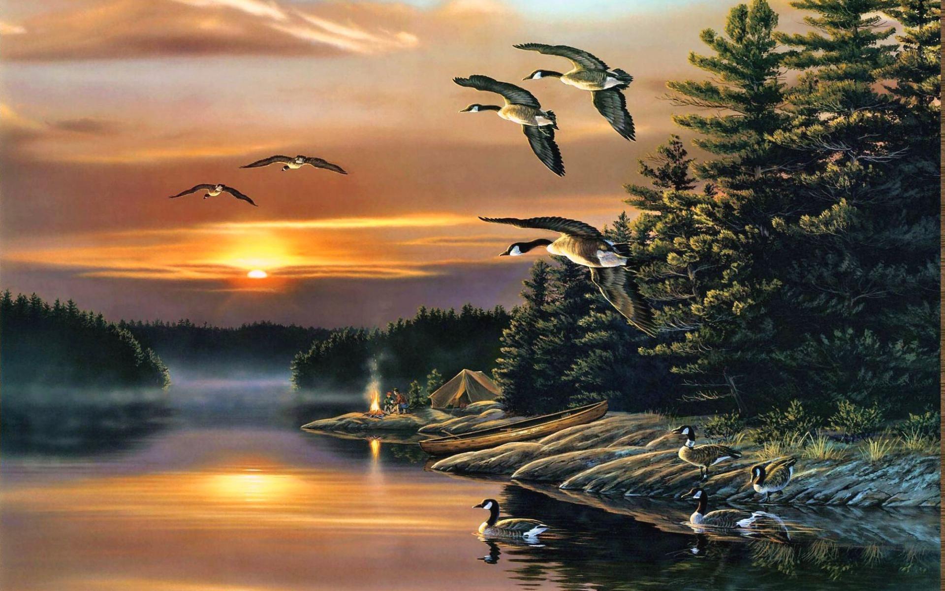 Camping Sunset Wallpapers - Top Free Camping Sunset Backgrounds ...