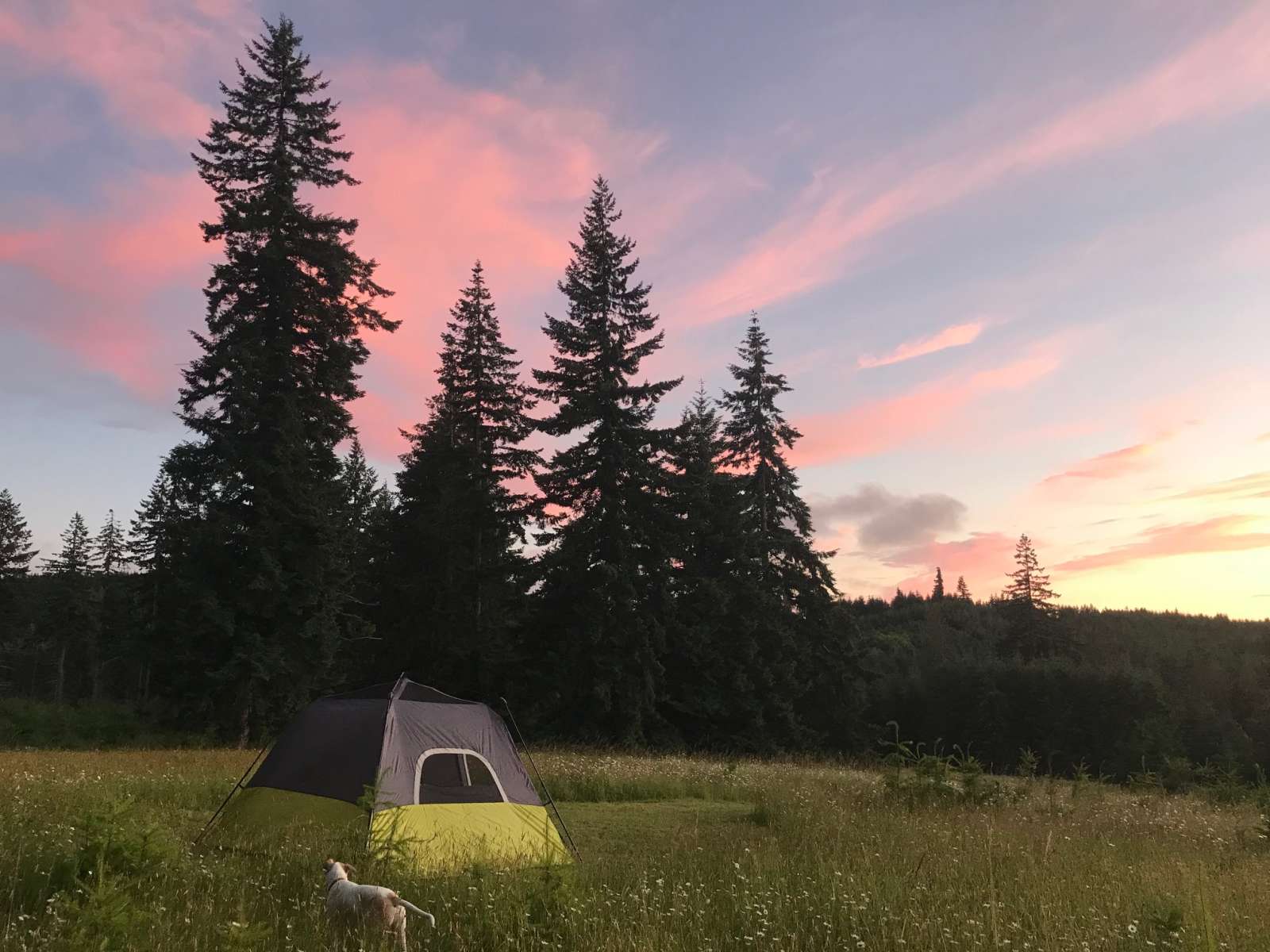 Camping Sunset Wallpapers - Top Free Camping Sunset Backgrounds ...