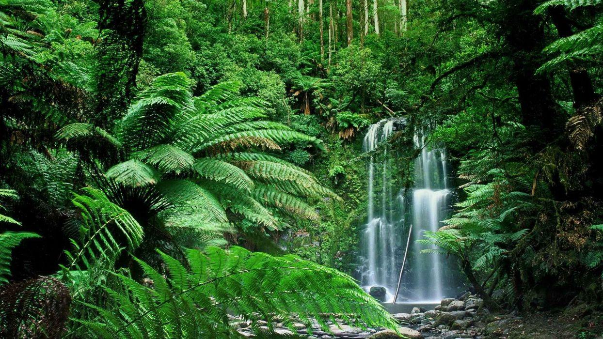 Australia Nature Wallpapers - Top Free Australia Nature Backgrounds ...