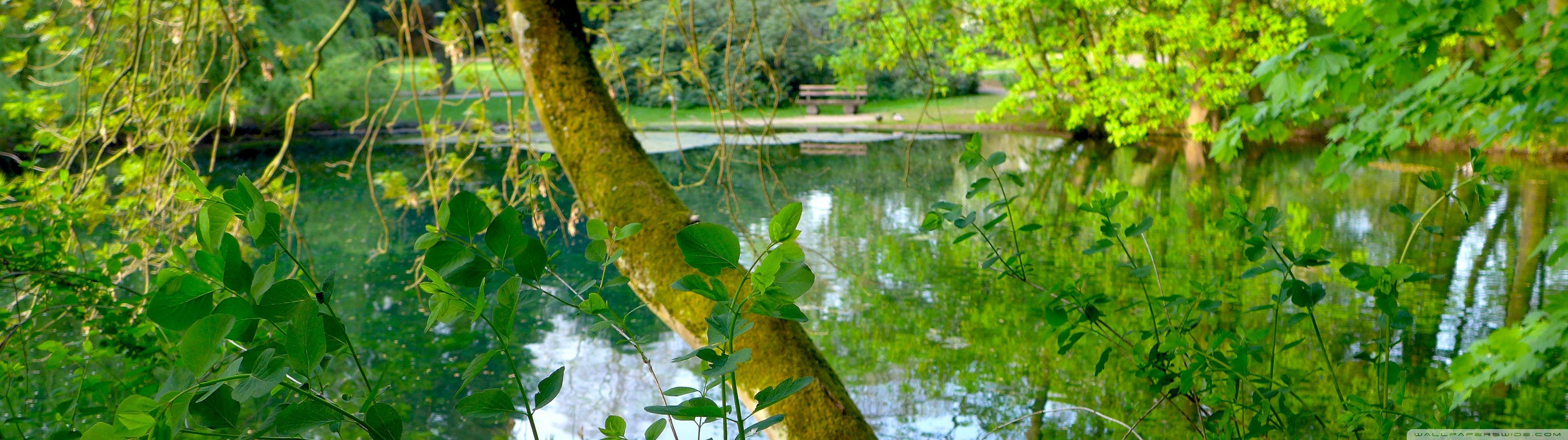 Ponds Dual Screen Wallpapers - Top Free Ponds Dual Screen Backgrounds ...