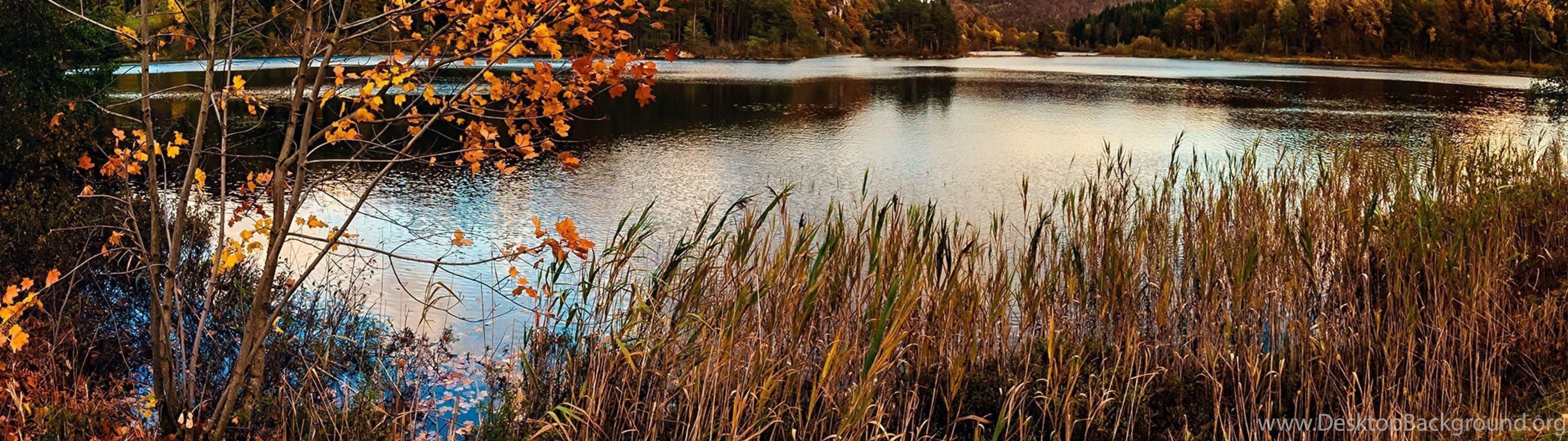 Ponds Dual Screen Wallpapers - Top Free Ponds Dual Screen Backgrounds ...