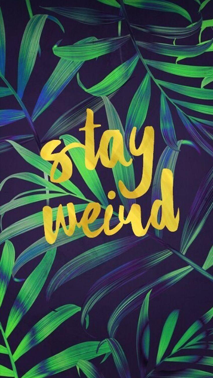 Stay Weird Wallpapers - Top Free Stay Weird Backgrounds - WallpaperAccess