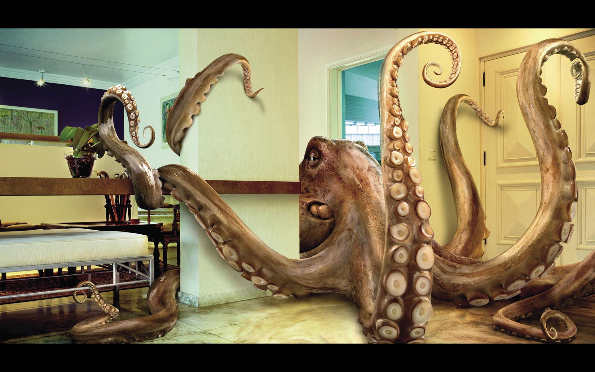 Weird Pc Wallpapers - Top Free Weird Pc Backgrounds - WallpaperAccess