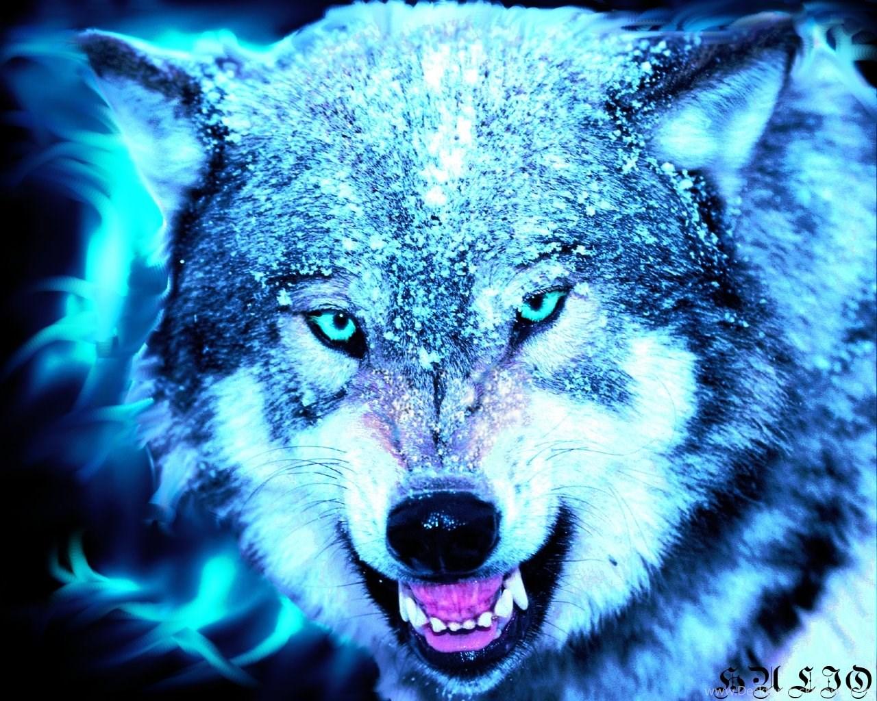 Neon Blue Wolf Wallpapers - Top Free Neon Blue Wolf Backgrounds ...