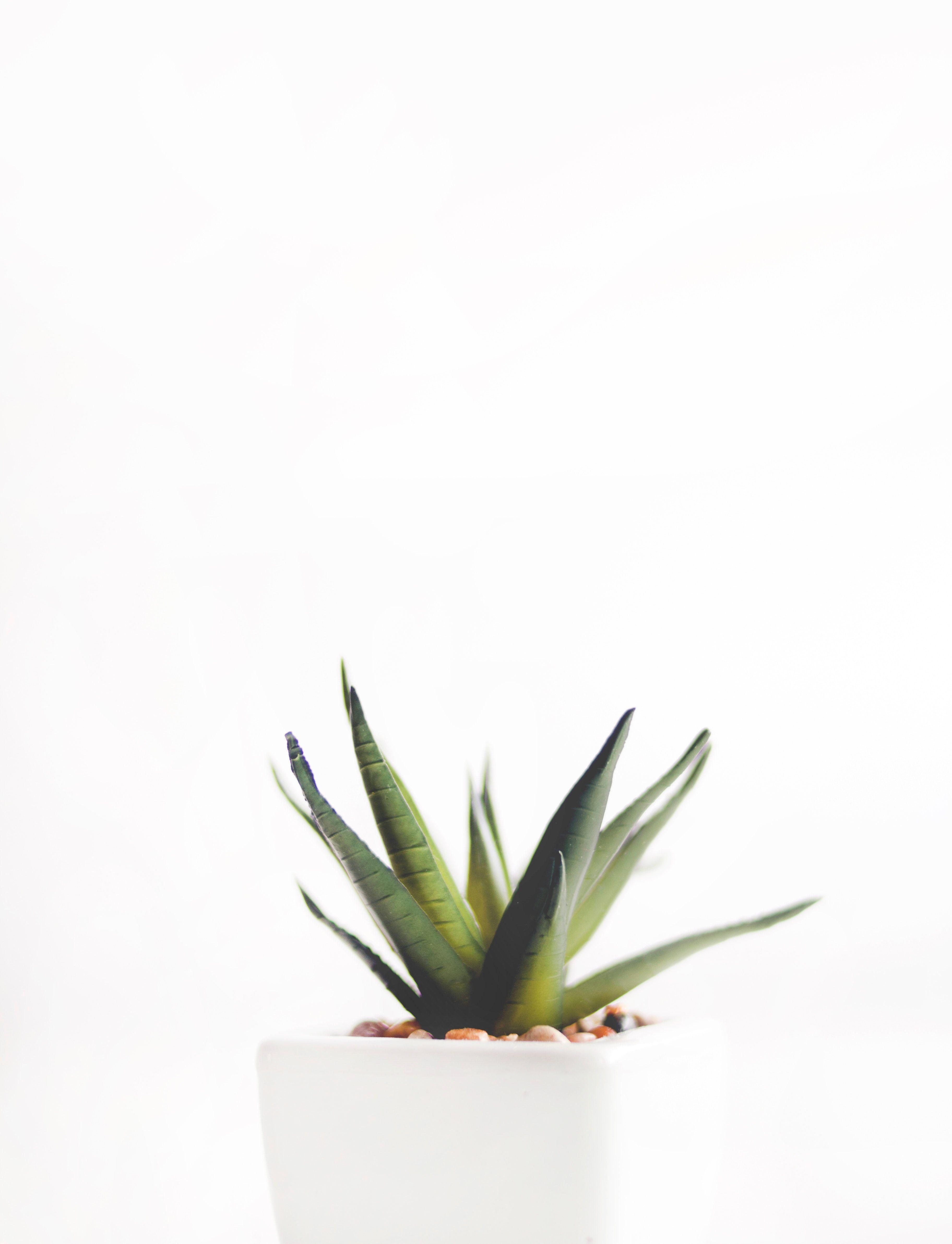 White Minimal Wallpapers - Top Free White Minimal Backgrounds ...