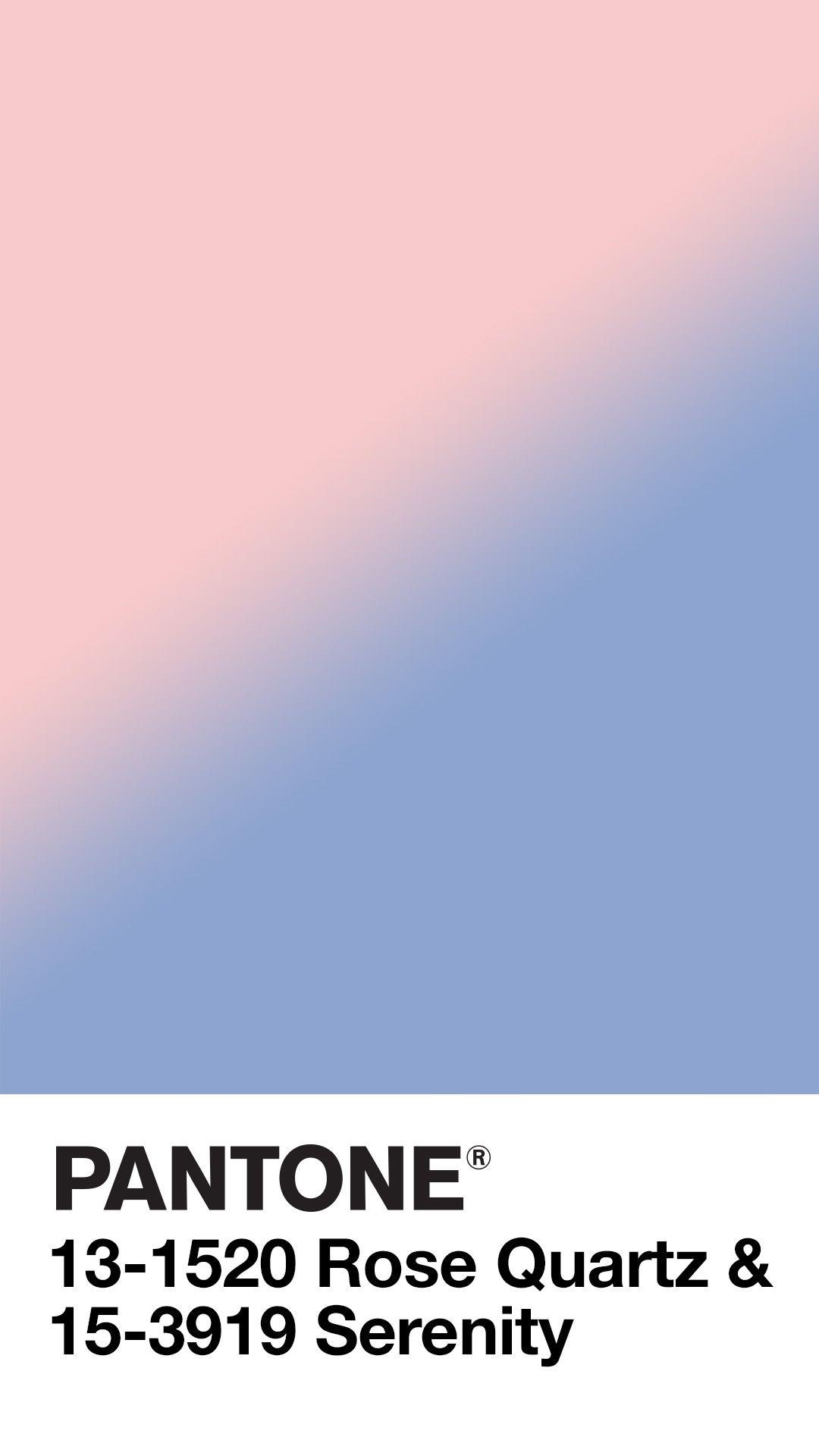 Color Aesthetic Wallpapers - Top Free Color Aesthetic Backgrounds ...