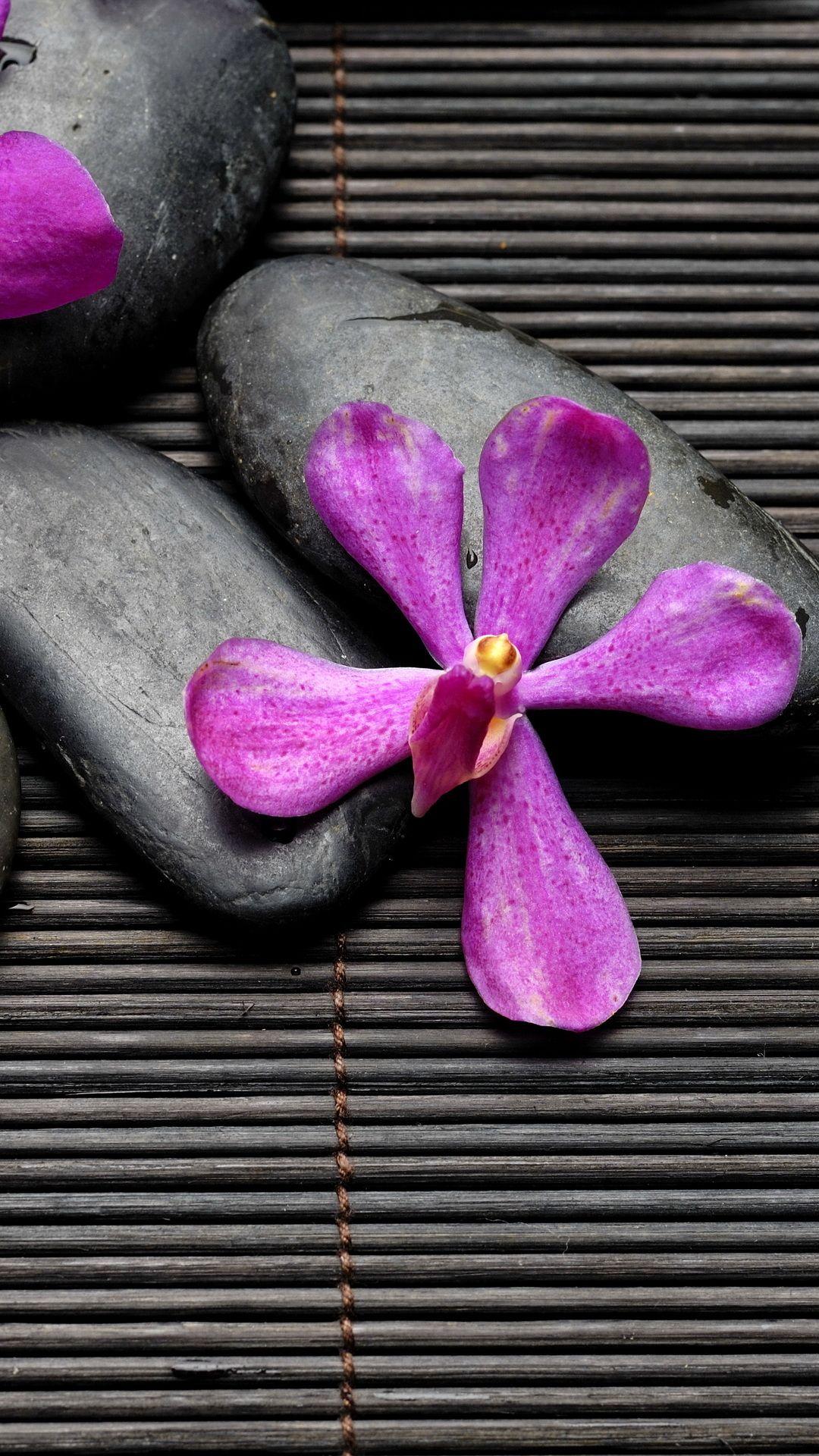 Purple Zen Wallpapers - Top Free Purple Zen Backgrounds - WallpaperAccess