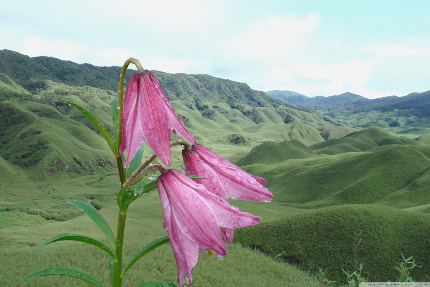 Manipur Wallpapers - Top Free Manipur Backgrounds - WallpaperAccess