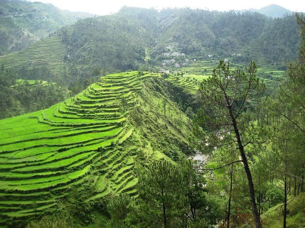 Manipur Wallpapers - Top Free Manipur Backgrounds - WallpaperAccess