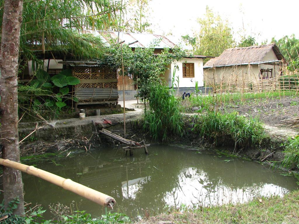 Manipur Wallpapers - Top Free Manipur Backgrounds - WallpaperAccess