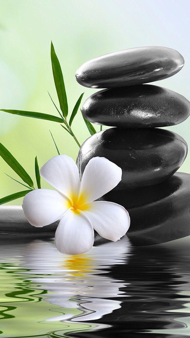 Zen Flowers Wallpapers - Top Free Zen Flowers Backgrounds - WallpaperAccess