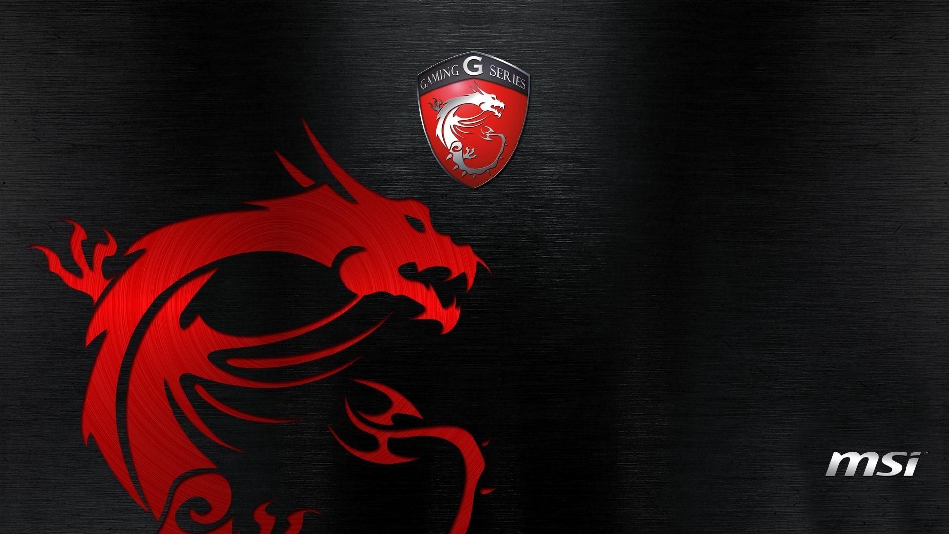 Gaming Dragon Wallpapers - Top Free Gaming Dragon Backgrounds ...