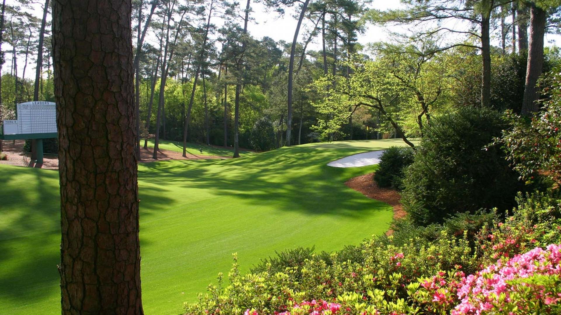 The Masters Wallpapers - Top Free The Masters Backgrounds - WallpaperAccess