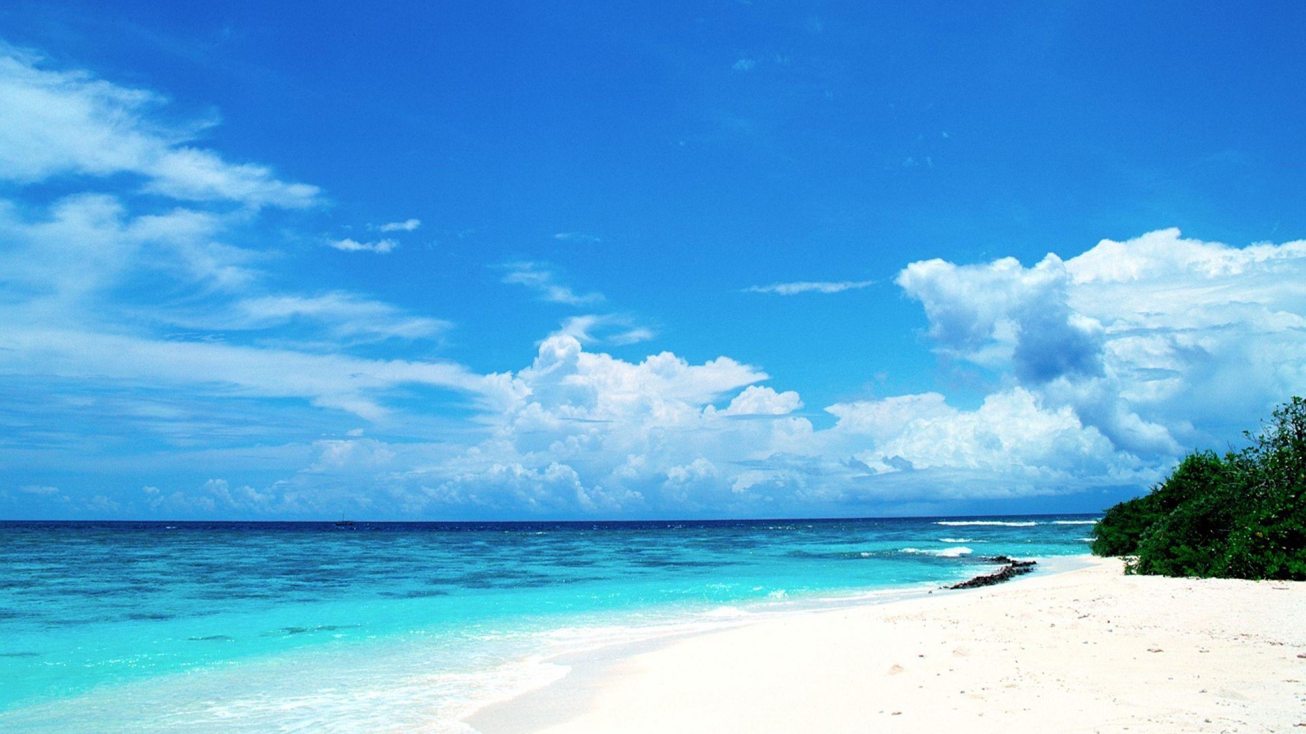 Summer Laptop Wallpapers - Top Free Summer Laptop Backgrounds ...